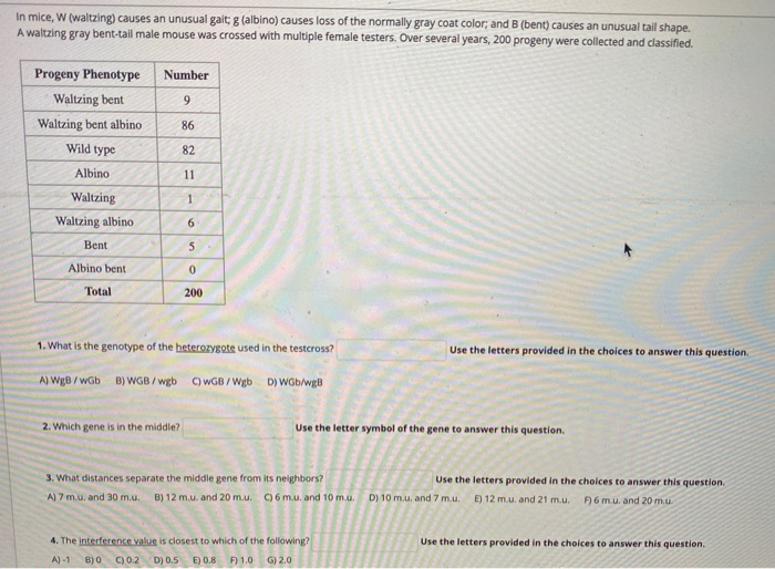 Solved In mice, W (waltzing) causes an unusual gait g | Chegg.com