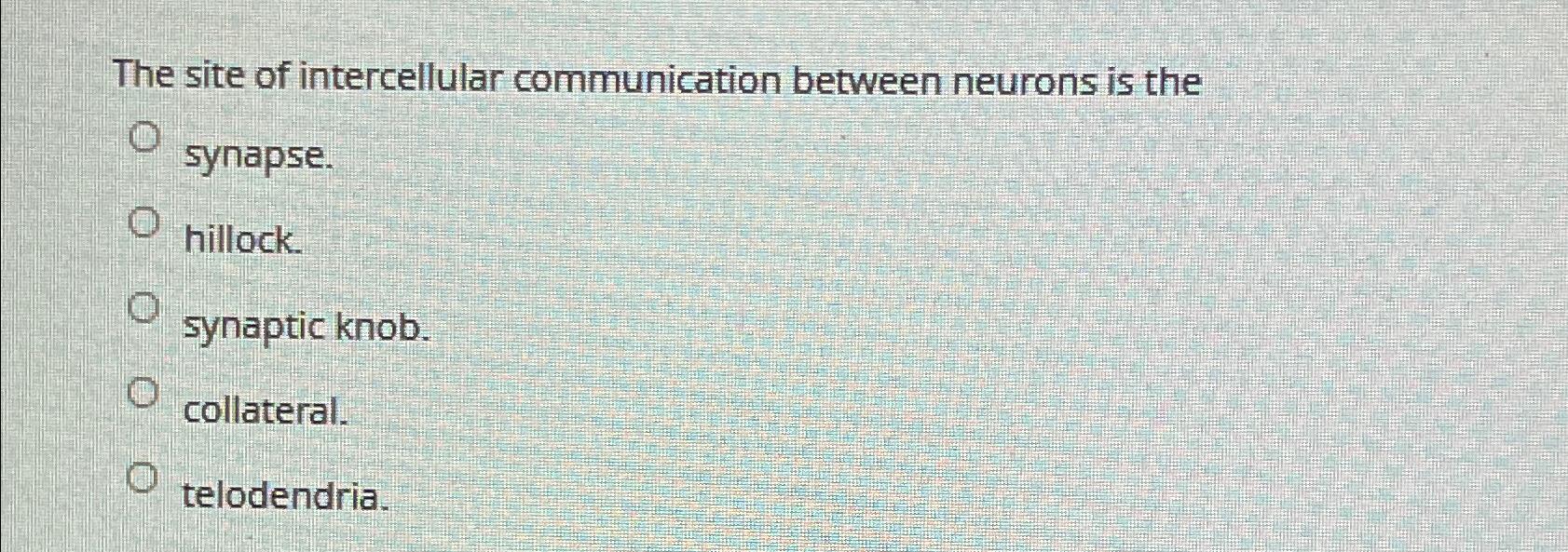 Solved The site of intercellular communication between | Chegg.com