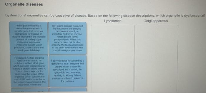 Solved Organelle diseases Dysfunctional organelles can be | Chegg.com