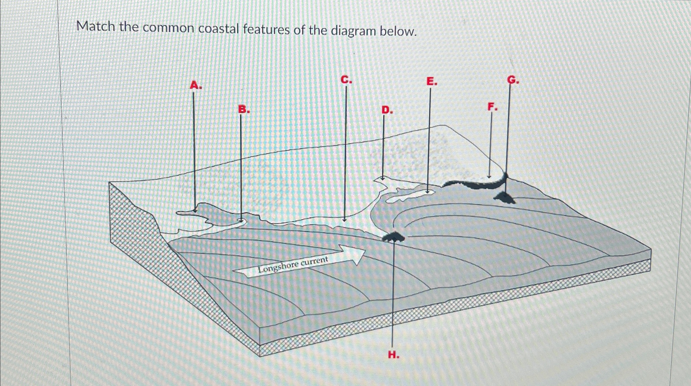 Solved Match the common coastal features of the diagram | Chegg.com