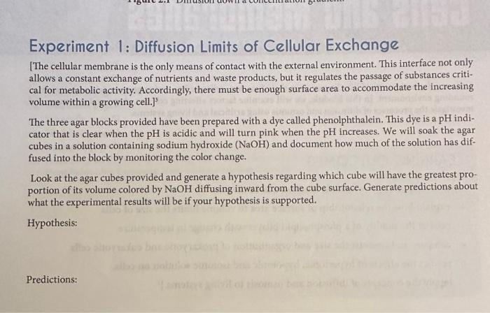 diffusion limits of cellular exchange 1. results | Chegg.com