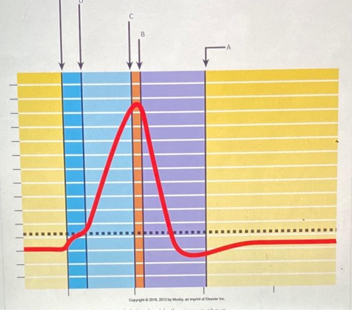 Solved Explain what is happening at each letter beside the | Chegg.com