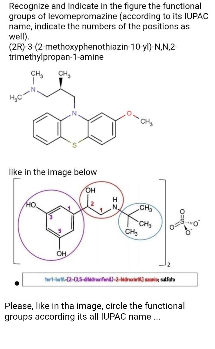 Solved Recognize and indicate in the figure the functional | Chegg.com