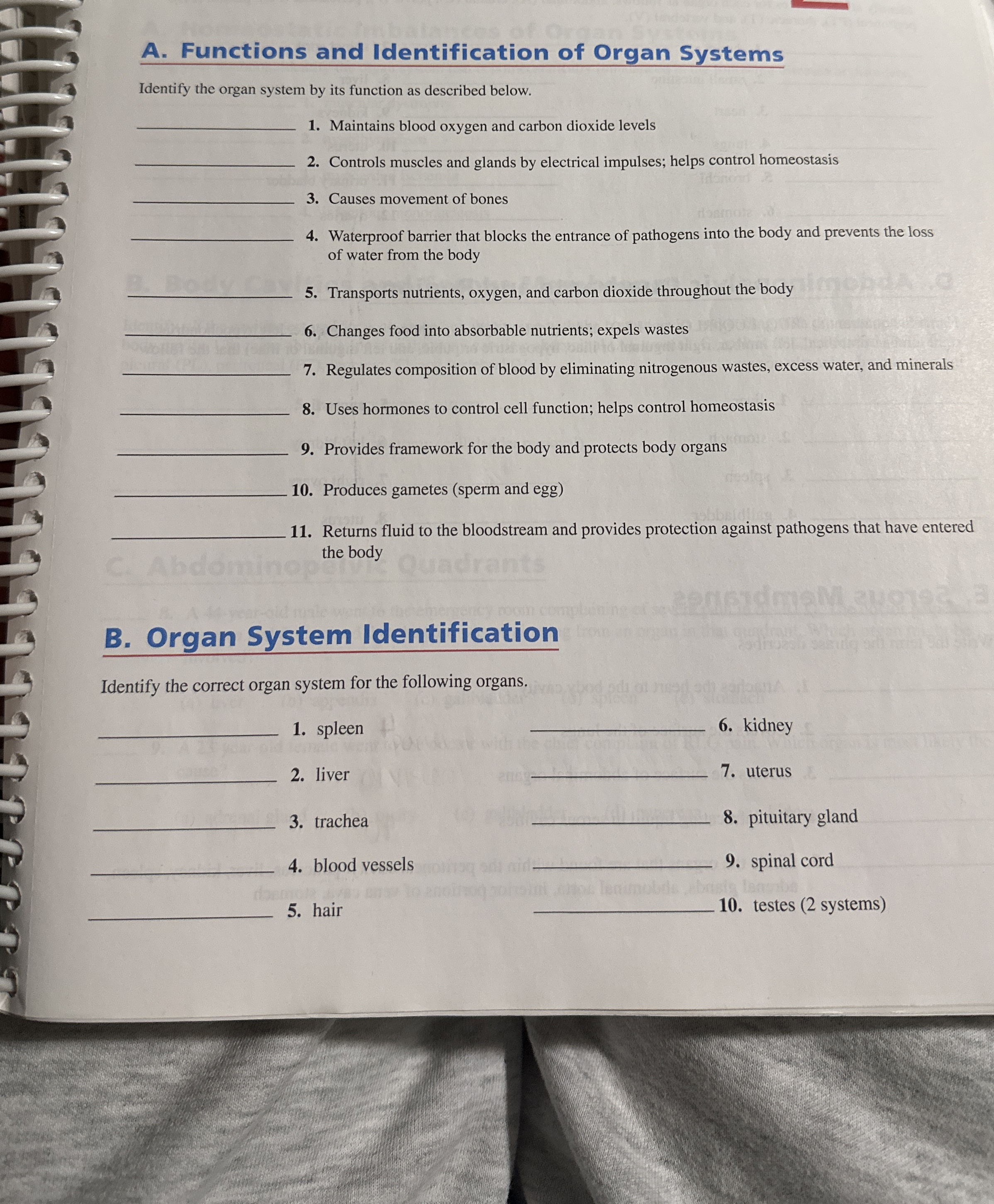 Solved A. ﻿Functions and Identification of Organ | Chegg.com