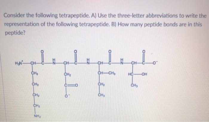 Solved Consider the following tetrapeptide. A) Use the | Chegg.com