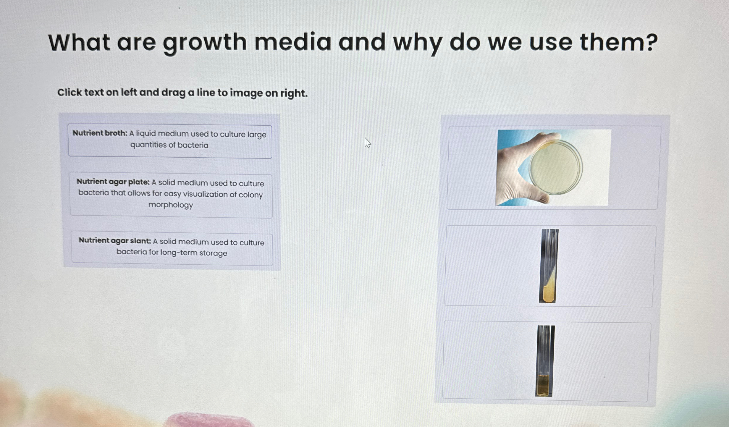 Solved What are growth media and why do we use them?Click | Chegg.com
