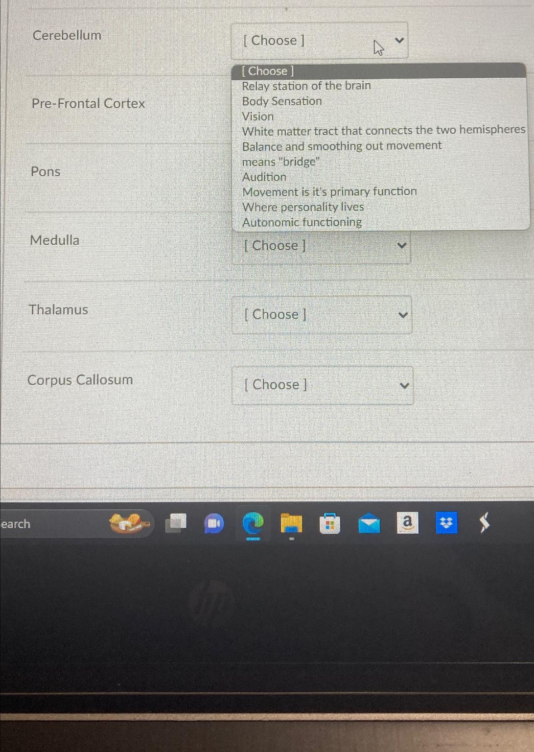 Solved CerebellumPre-Frontal CortexPonsMedullaThalamusCorpus | Chegg.com