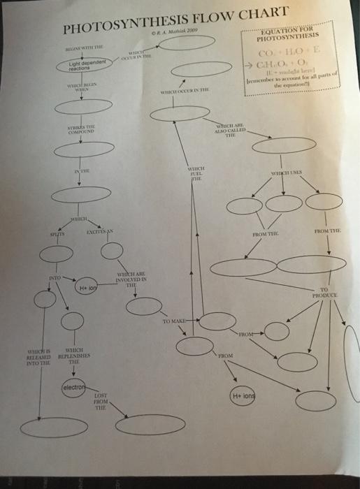 PHOTOSYNTHESIS FLOW CHART ORA 2000 EQUATION YOR | Chegg.com
