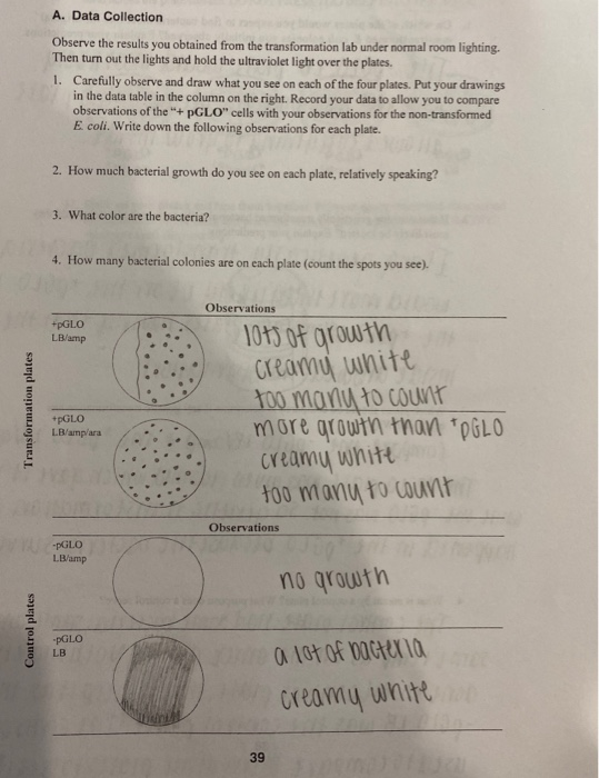 Solved A. Data Collection Observe the results you obtained | Chegg.com