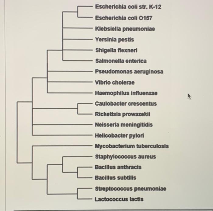 Solved LO19 Identify the evolutionary relationships | Chegg.com