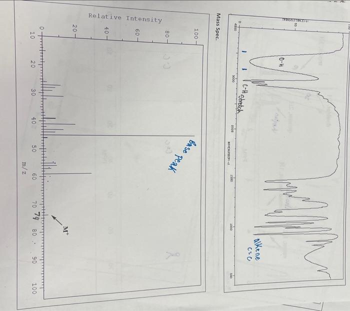 Solved Mass Spec.Report Sheet for Student Project Second | Chegg.com