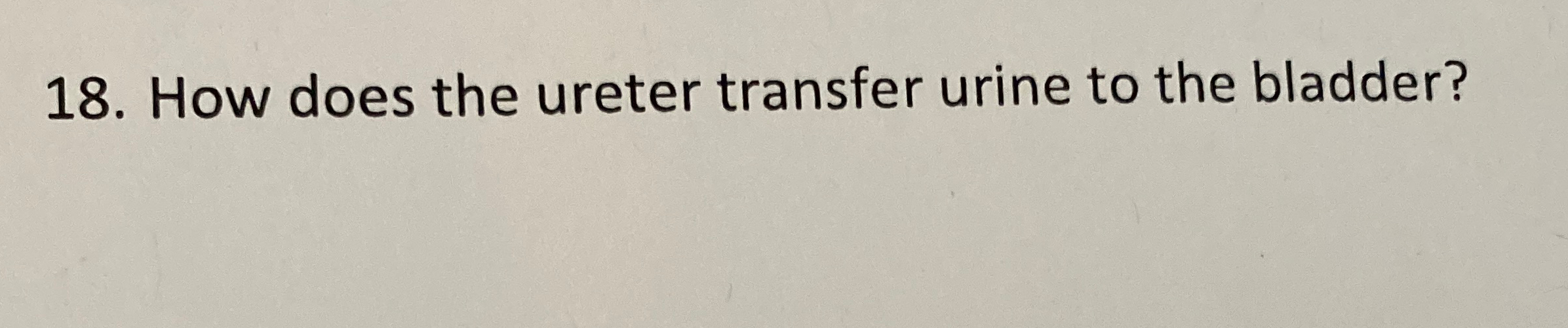 Solved How does the ureter transfer urine to the bladder? | Chegg.com
