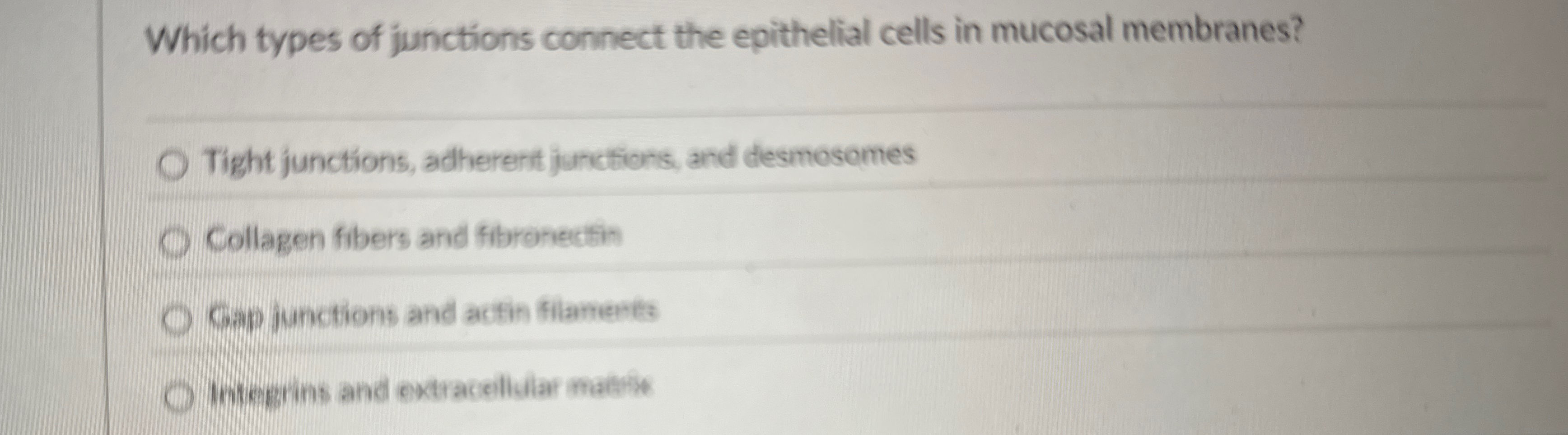 Solved Which types of junctions connect the epithelial cells | Chegg.com