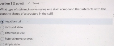 Solved uestion 3 (1 ﻿point) ﻿SavedWhat type of staining | Chegg.com
