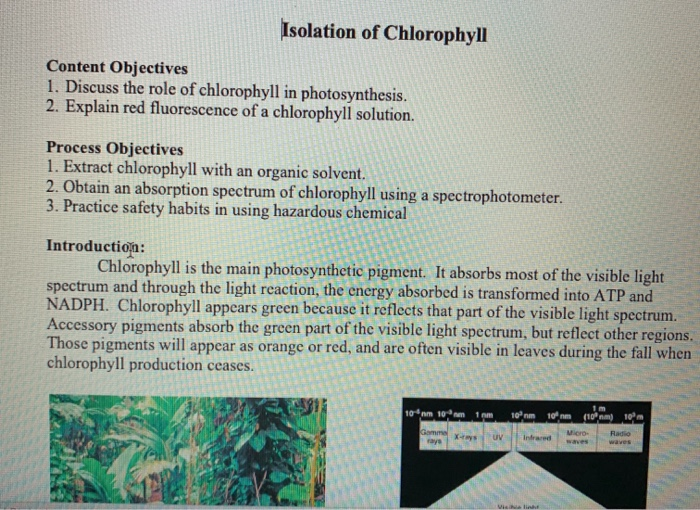 Solved Heading 2 Title Results: Isolation of Chlorophyll | Chegg.com