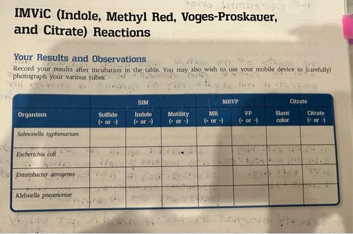 IMViC (Indole, Methyl Red, Voges-Proskauer, and | Chegg.com