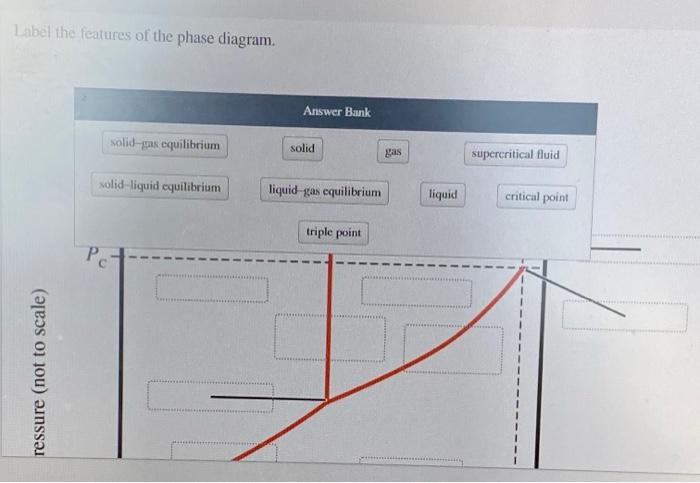 Solved Label the features of the phase diagram. Answer Bank | Chegg.com