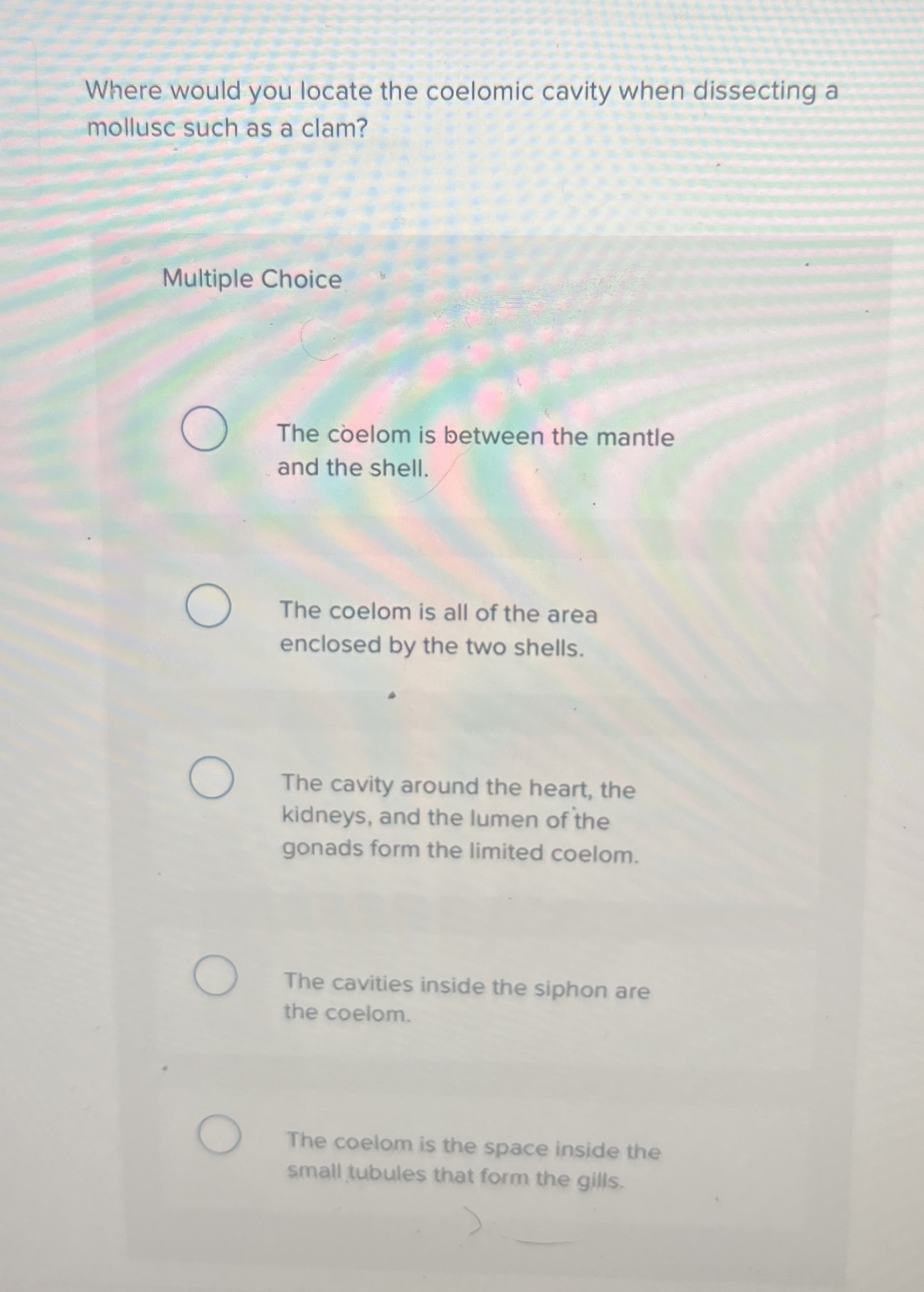 Solved Where would you locate the coelomic cavity when | Chegg.com