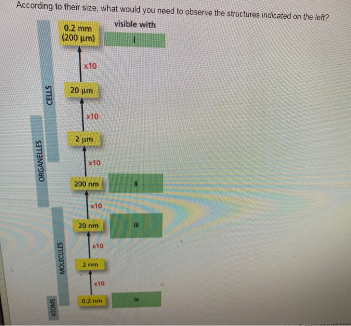 Solved According to their size, what would you need to | Chegg.com