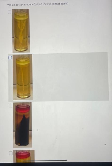 Solved Which bacteria reduce Sulfur? (Select all that | Chegg.com