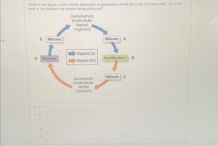 Solved ing Refer to the figure, which shows alternation of | Chegg.com