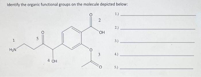 Solved Identify the organic functional groups on the | Chegg.com