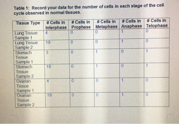 Solved Table 1: Record your data for the number of cells in | Chegg.com