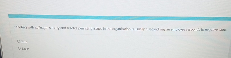 Solved Meeting with colleagues to try and resolve persisting | Chegg.com