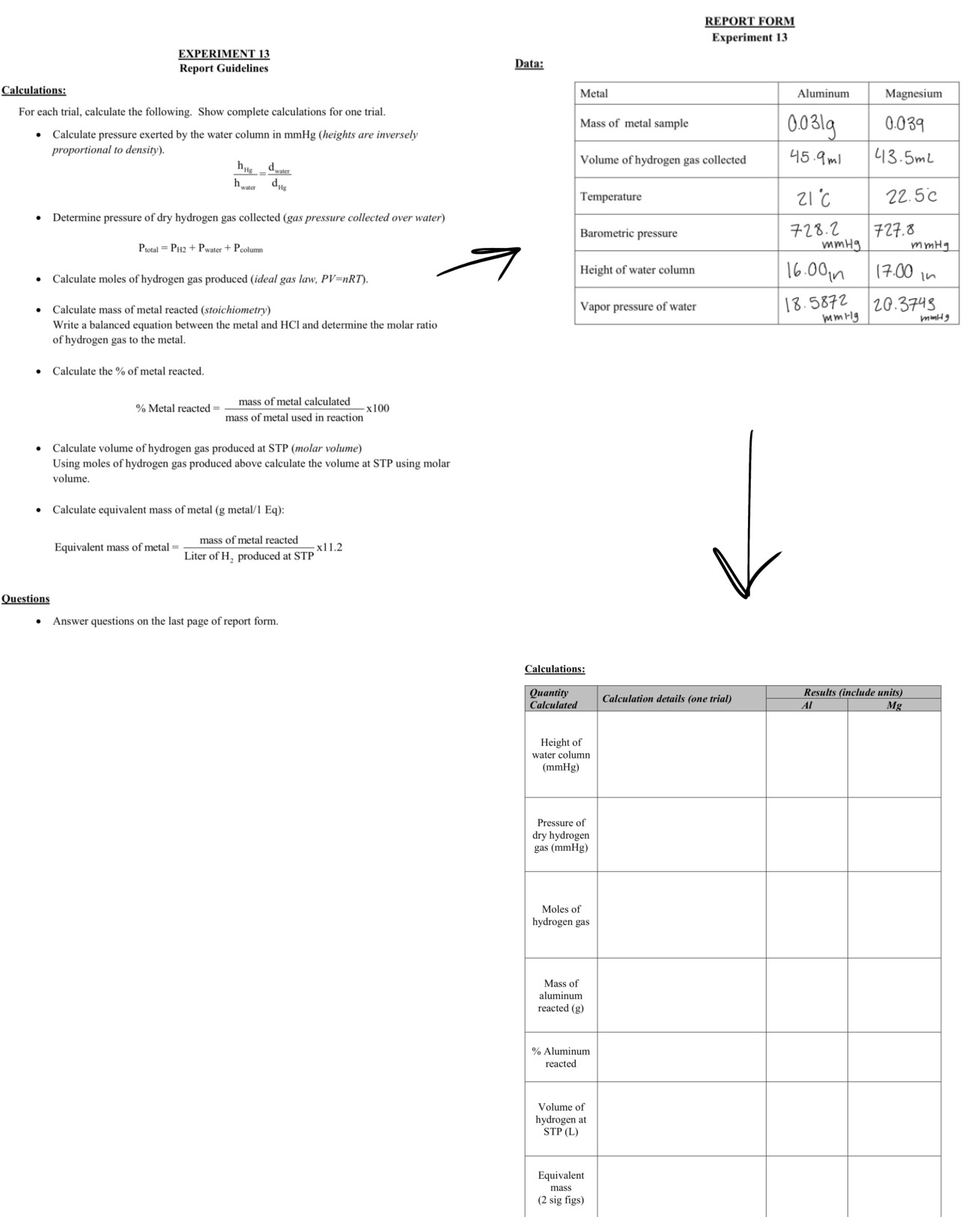 Solved REPORT FORMExperiment 13EXPERIMENT 13Report | Chegg.com