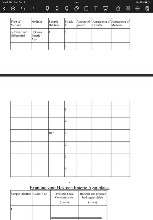 Examine your MSA.platesExercise 8.docx Fxamine vour | Chegg.com