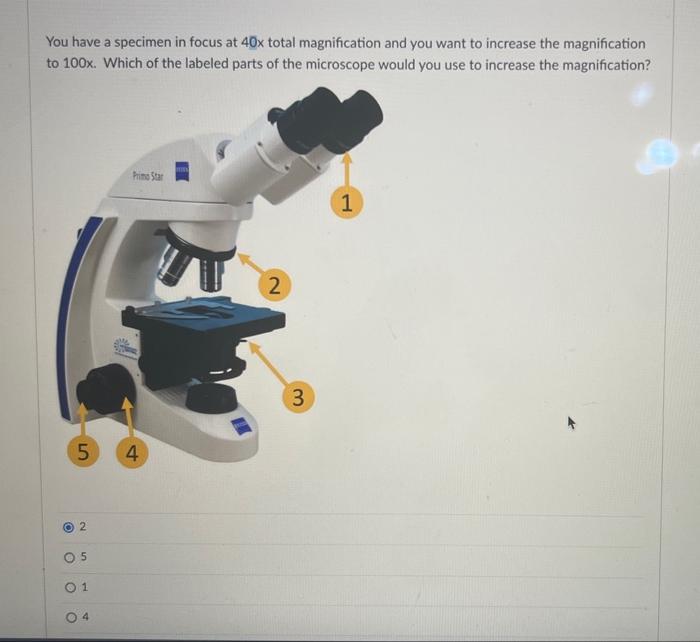Solved You have a specimen in focus at 40x total | Chegg.com