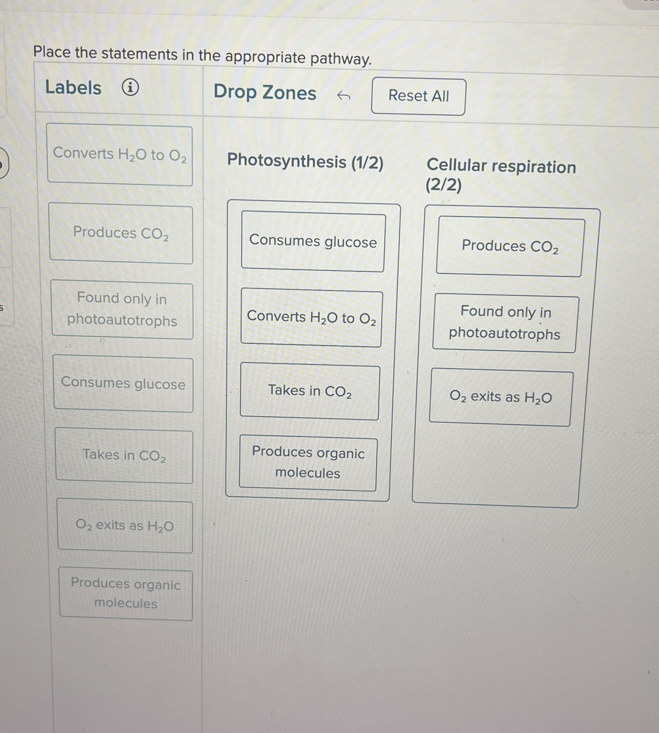 Solved Place the statements in the appropriate | Chegg.com