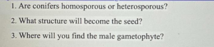 Solved 1. Are conifers homosporous or heterosporous? 2. What | Chegg.com