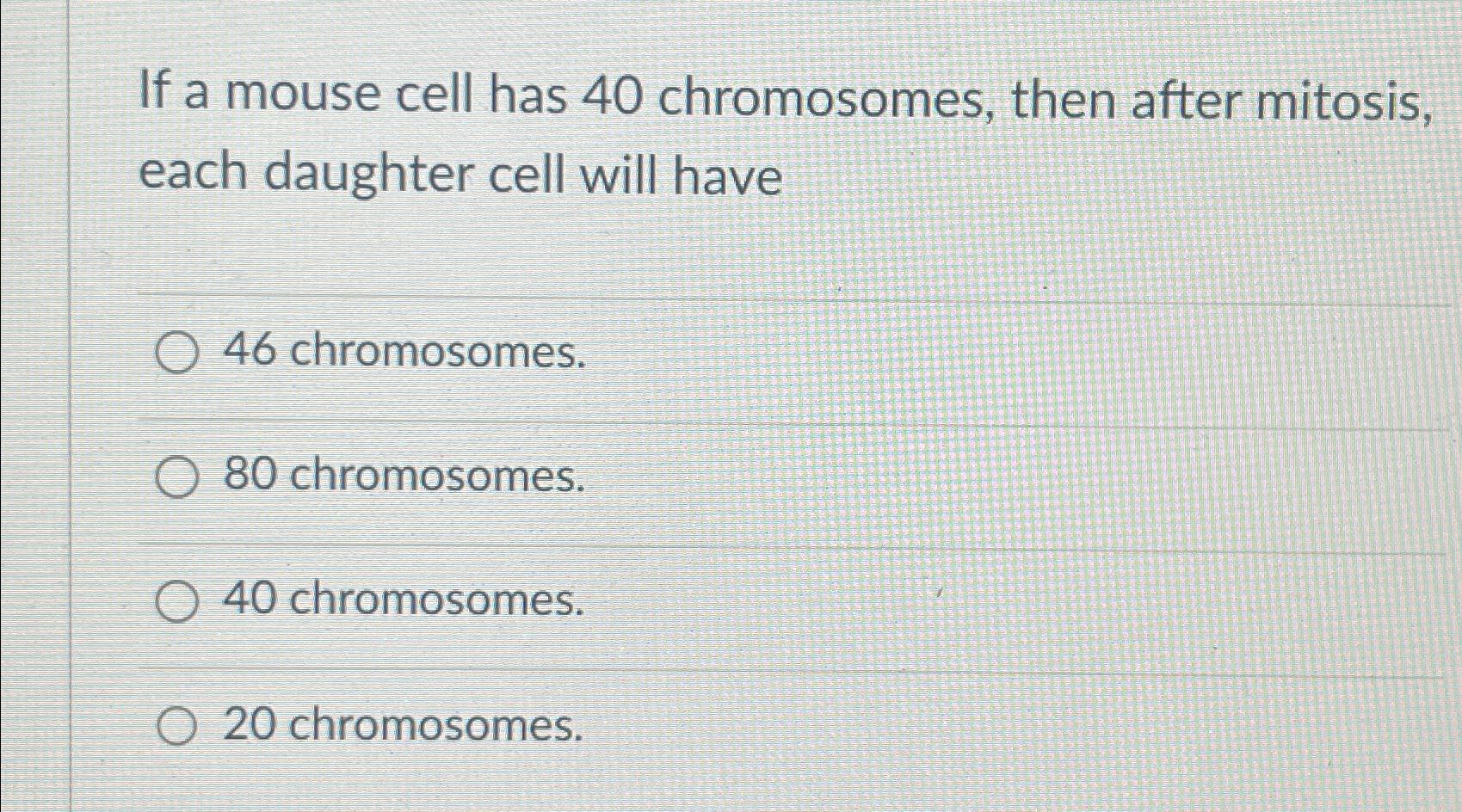 Solved If a mouse cell has 40 ﻿chromosomes, then after | Chegg.com