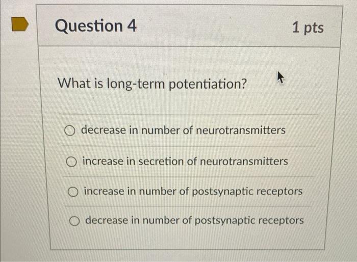 Solved What is long-term potentiation? decrease in number of | Chegg.com