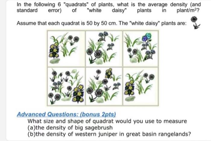 Solved In the following 6 "quadrats" of plants, what is the | Chegg.com