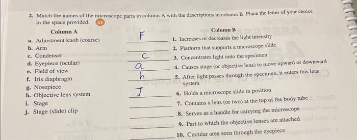 Solved 2. Match the names of the microscope parts in column | Chegg.com