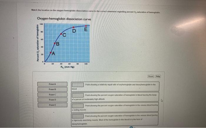 Solved match the location on the oxygen-hemoglobin curve to | Chegg.com