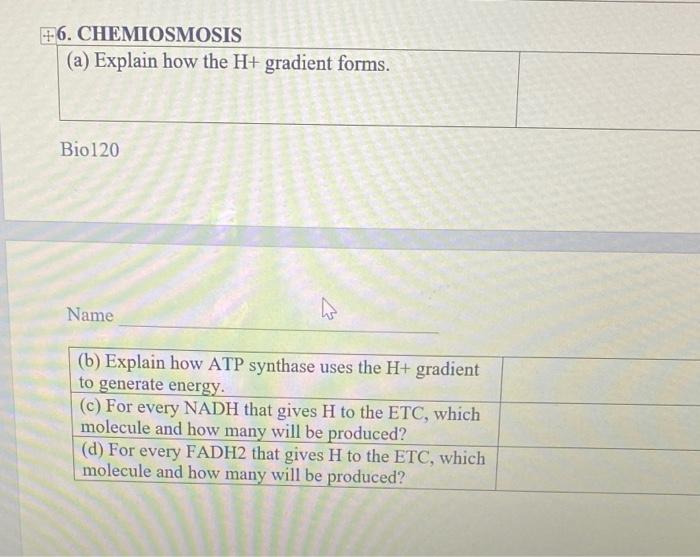 Solved +6. CHEMIOSMOSIS (a) Explain how the H+ gradient | Chegg.com