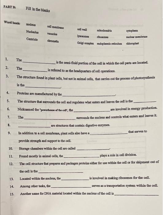 Solved PART B: Fill in the blanks Word bank todos cell | Chegg.com