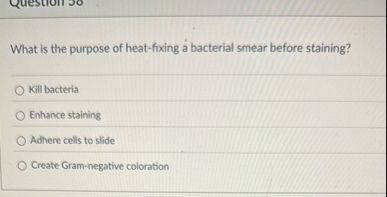 Solved What is the purpose of heat-fixing a bacterial smear | Chegg.com