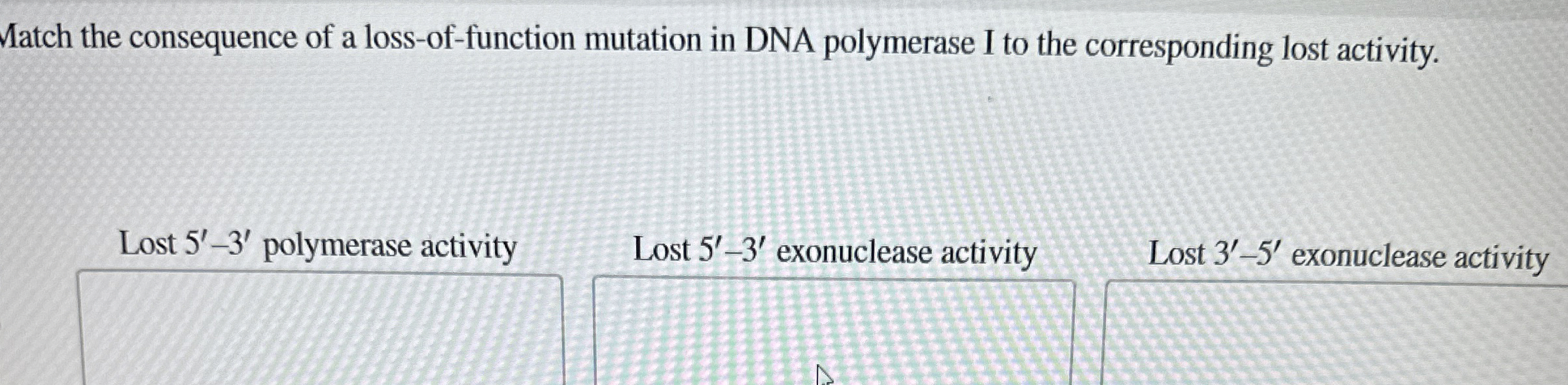 Solved Match the consequence of a loss-of-function mutation | Chegg.com