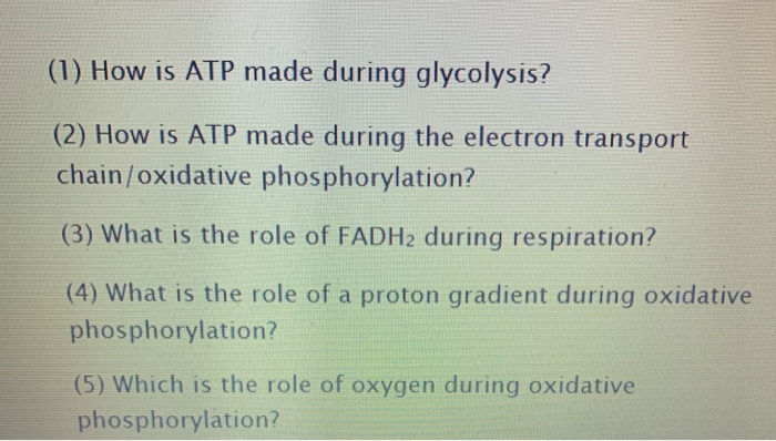 Solved (1) How is ATP made during glycolysis? (2) How is ATP | Chegg.com