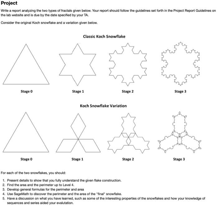 Write a report analyzing the two types of fractals | Chegg.com