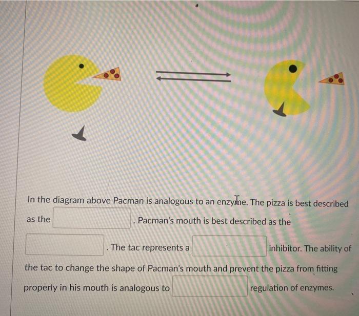 Solved In the diagram above Pacman is analogous to an | Chegg.com