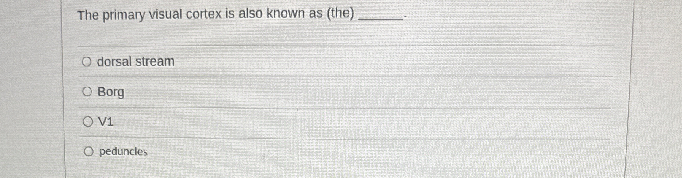 Solved The primary visual cortex is also known as | Chegg.com