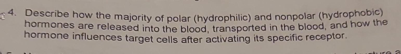 Solved 4. Describe how the majority of polar (hydrophilic) | Chegg.com