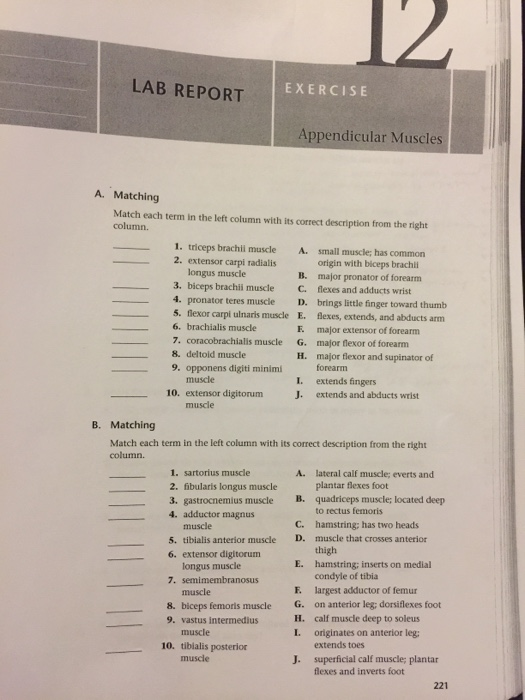 Solved 11 EXERCISE LAB REPORT Axial Muscles atching atch | Chegg.com