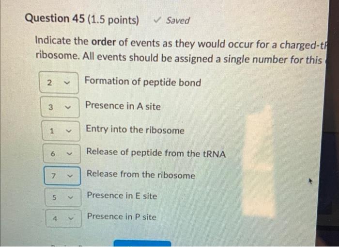 Solved The Wobble Hypothesis Explains The Use Of Fewer Trnas 