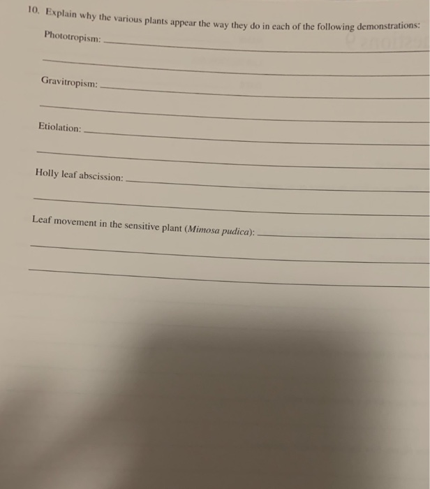 Solved Review Questions 8 NAME LAB SECTION NO. DATE 1. In | Chegg.com